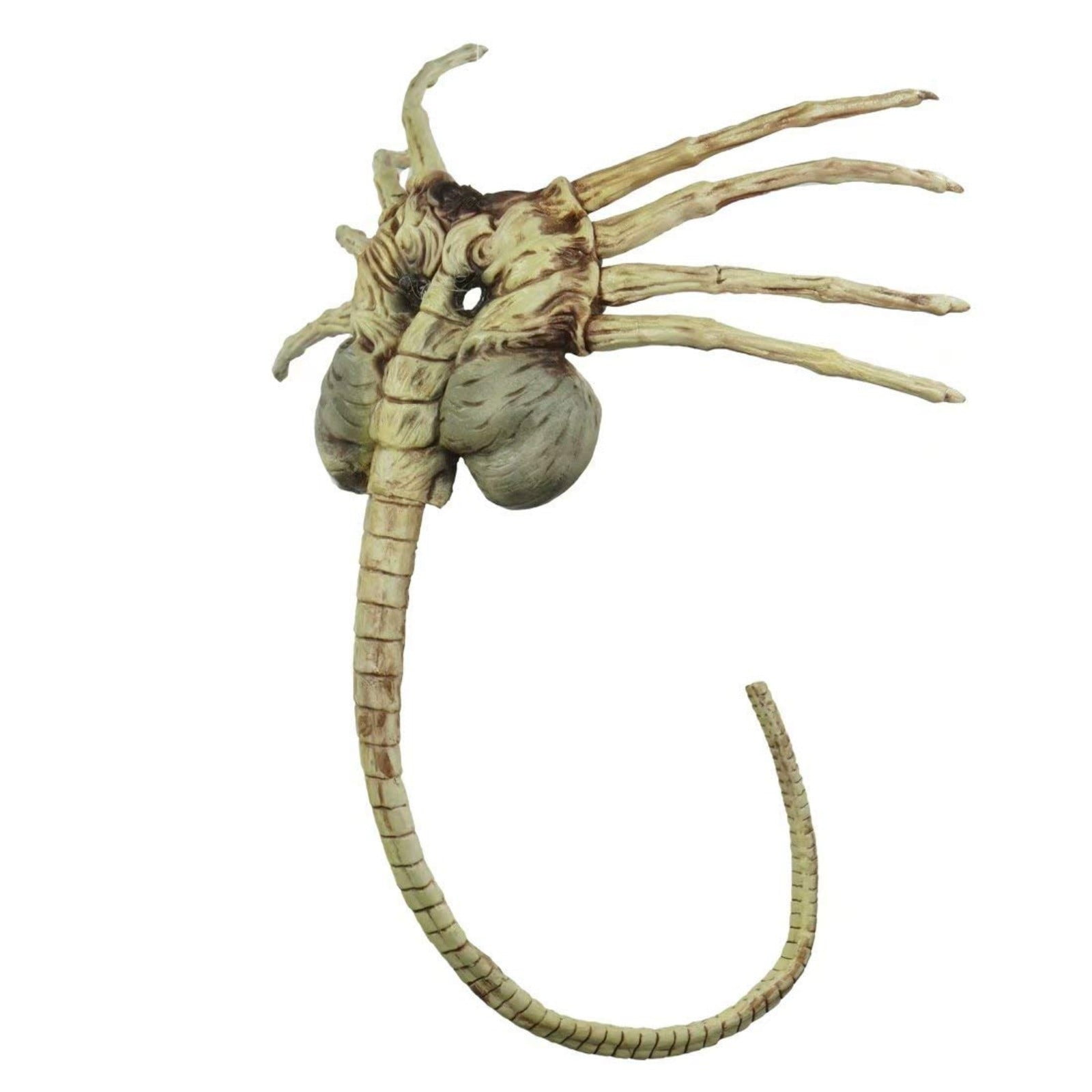 ERETOY Alien Facehugger Face Mask Alien Latex Prop Toy - 39.3" Life ...