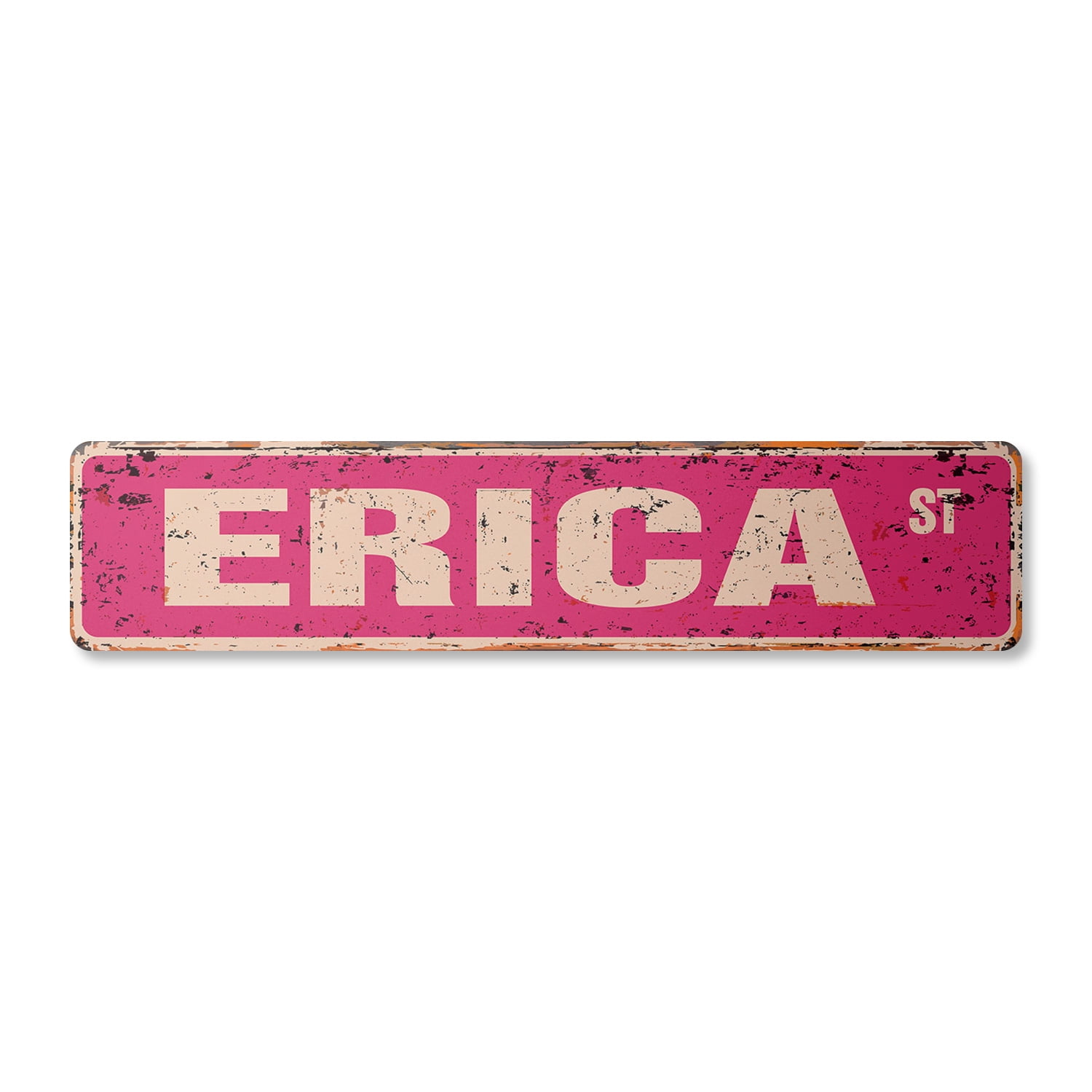 ERICA Vintage Plastic Street Sign Childrens Name Room Sign | Indoor ...