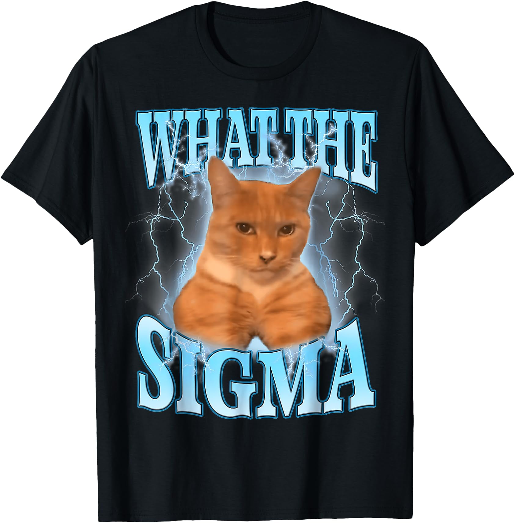 ERM What The Sigma Meme Cat Ironic Brainrot Y2K T-Shirt,Sport Grey ...