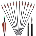 EROCK 12/24Pcs 30" Archery Carbon Arrows Spine 500 For Compound Recurve ...