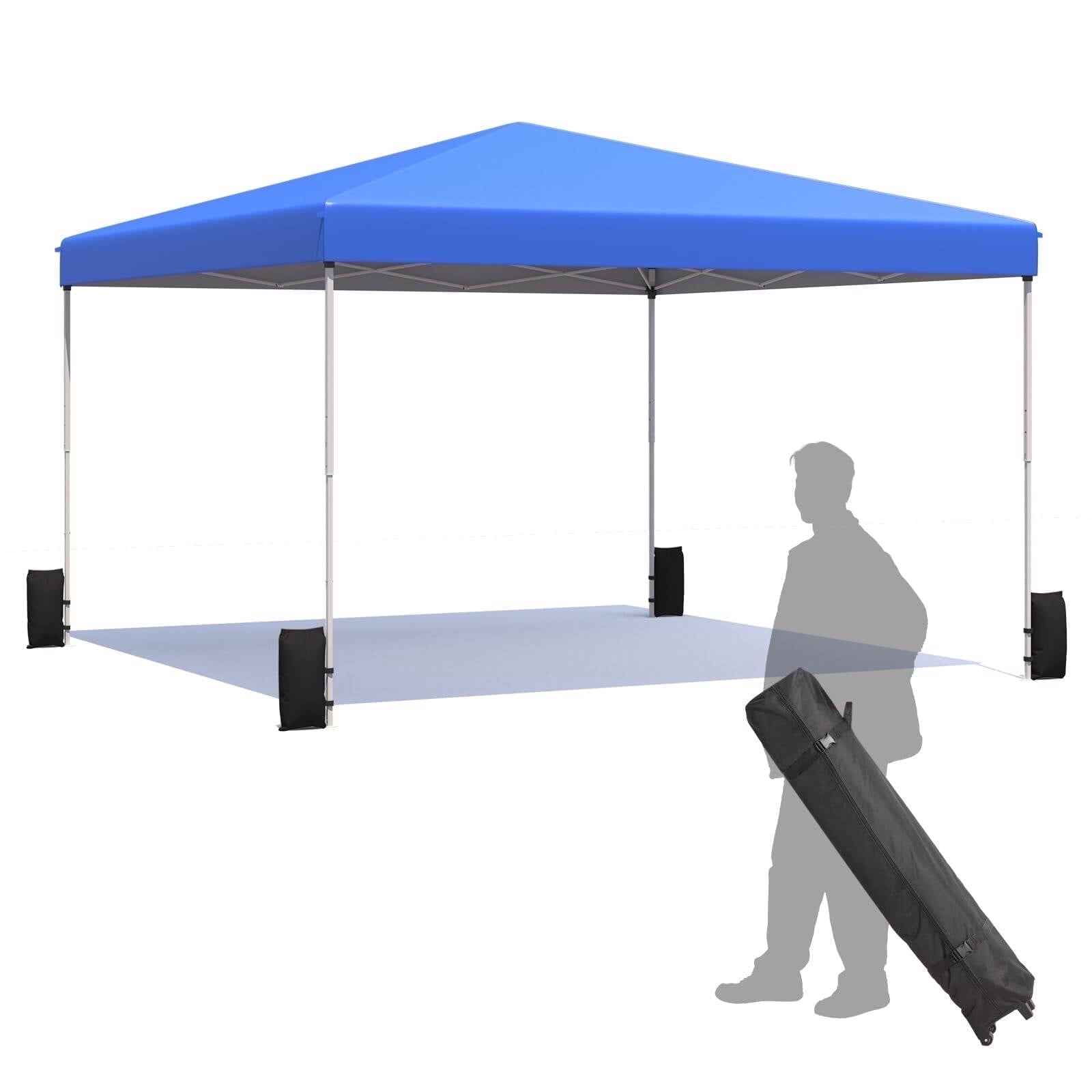 Erommy 10x10 ft Pop Up Canopy Tent, Easy Up Outdoor Canopy with Wheeled ...