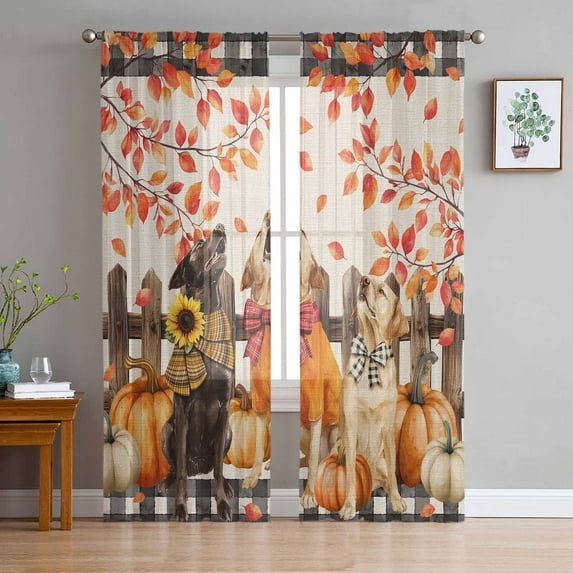 ERUNPONLY Fall Sheer Curtains 96 Inch Length 2 Panels Set, Pumpkin Dog ...