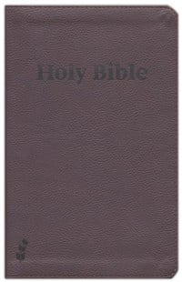 ERV Holy Bible Soft Leather Look Russet, (Hardcover) - Walmart.com