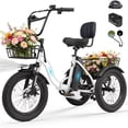ESKUTE Adult Electric Tricycle, Folding Step-Thru E-Trike with ...