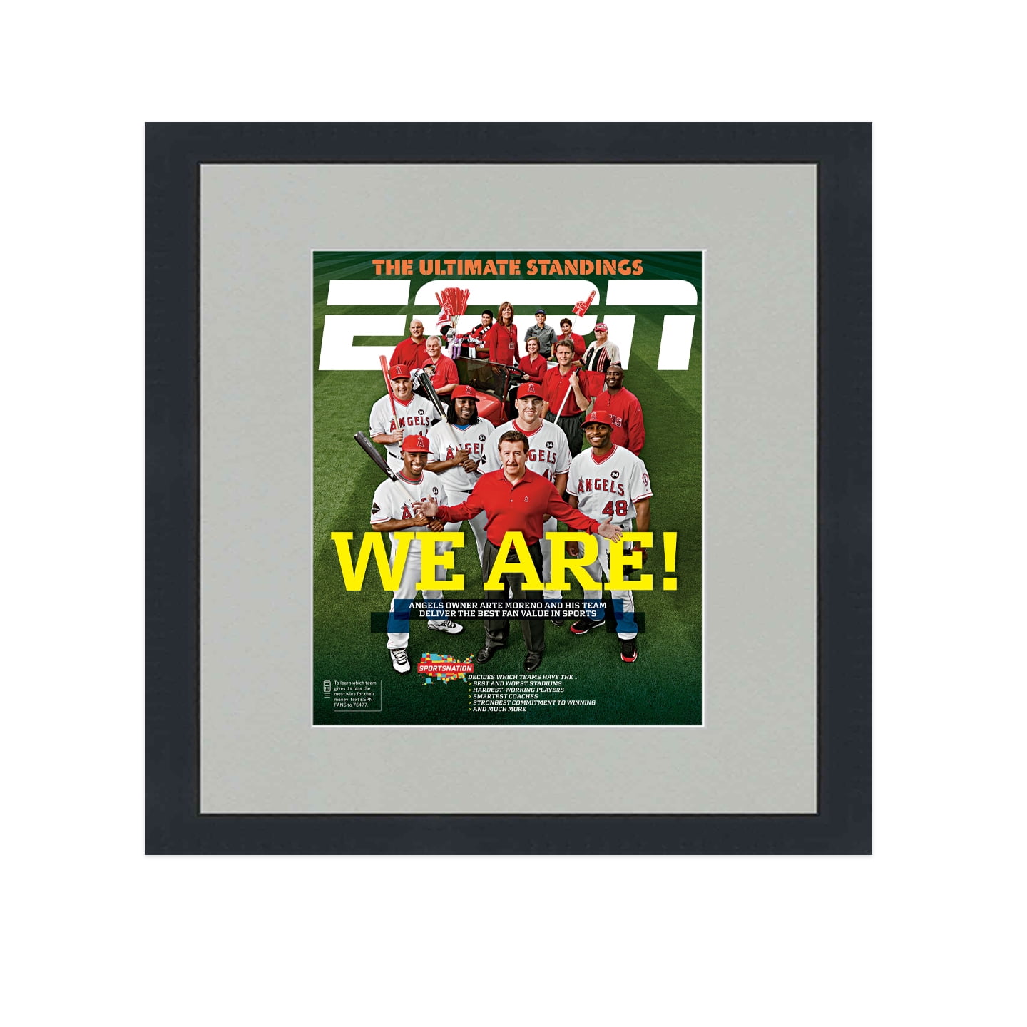 ESPN Magazine Display Frame - Complete with Acrylic, Backing, and Grey ...