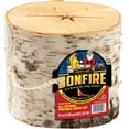 ESSAY GROUP LLC Light Go Bonfire Log — Residential Use, Standard ...