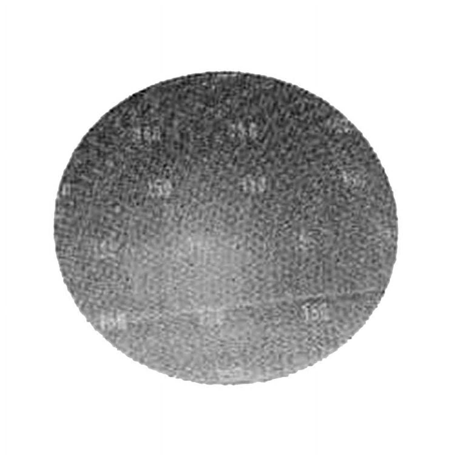 ESSEX SILVER LINE 17SC80 Sanding Disc, 17 in Dia, 80 Grit, Medium ...