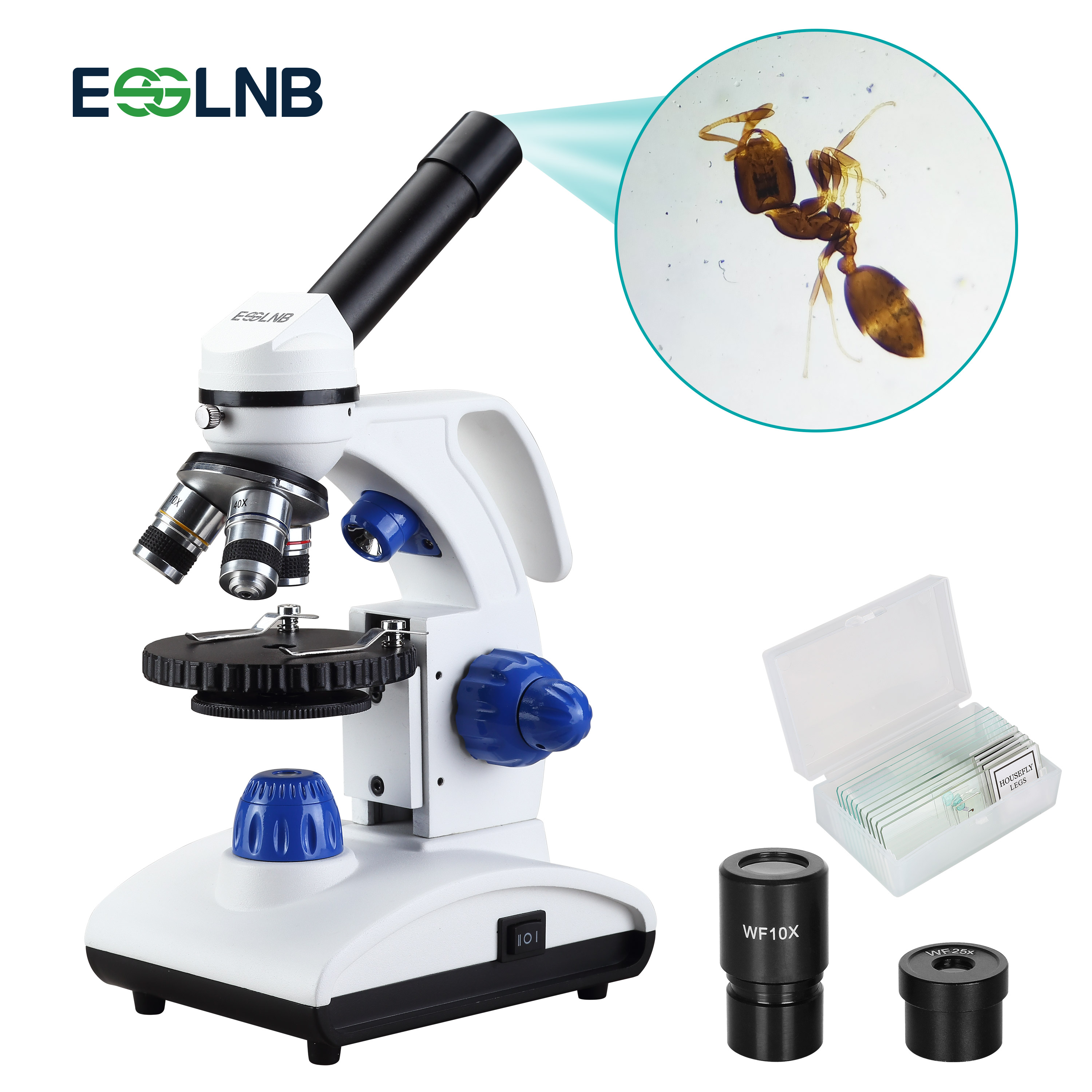 ESSLNB Biological Microscope Coarse and Fine Focus Adjustment with ...