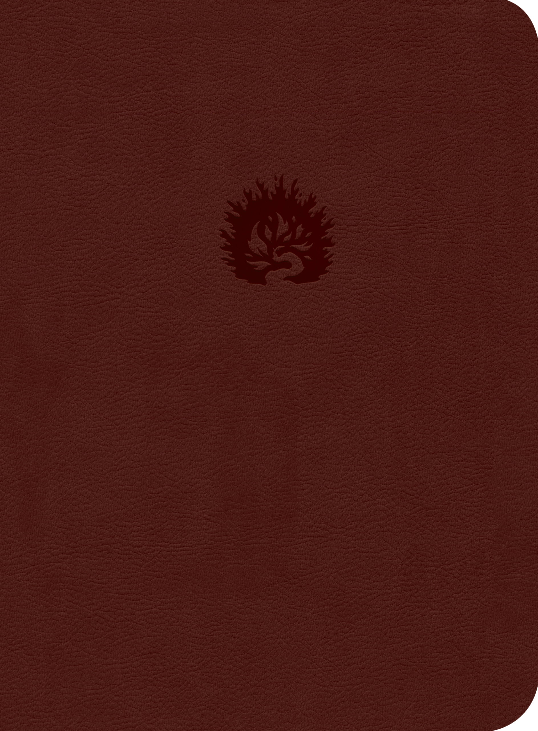 ESV Reformation Study Bible, Brick Red, Leather-Like (Hardcover ...