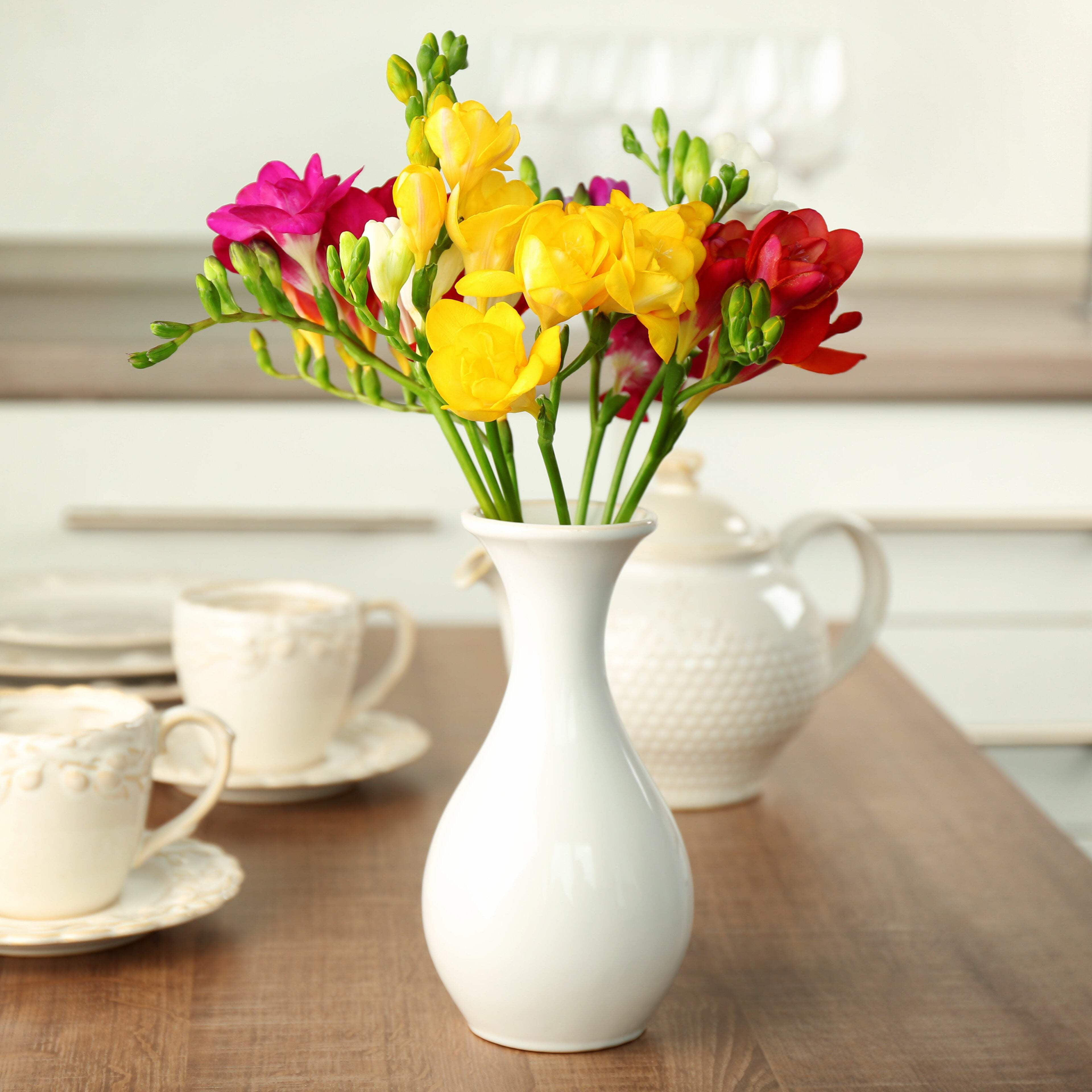 Easy to Grow Freesia Tropical Sunset Collection 45 Plant Bulbs ...