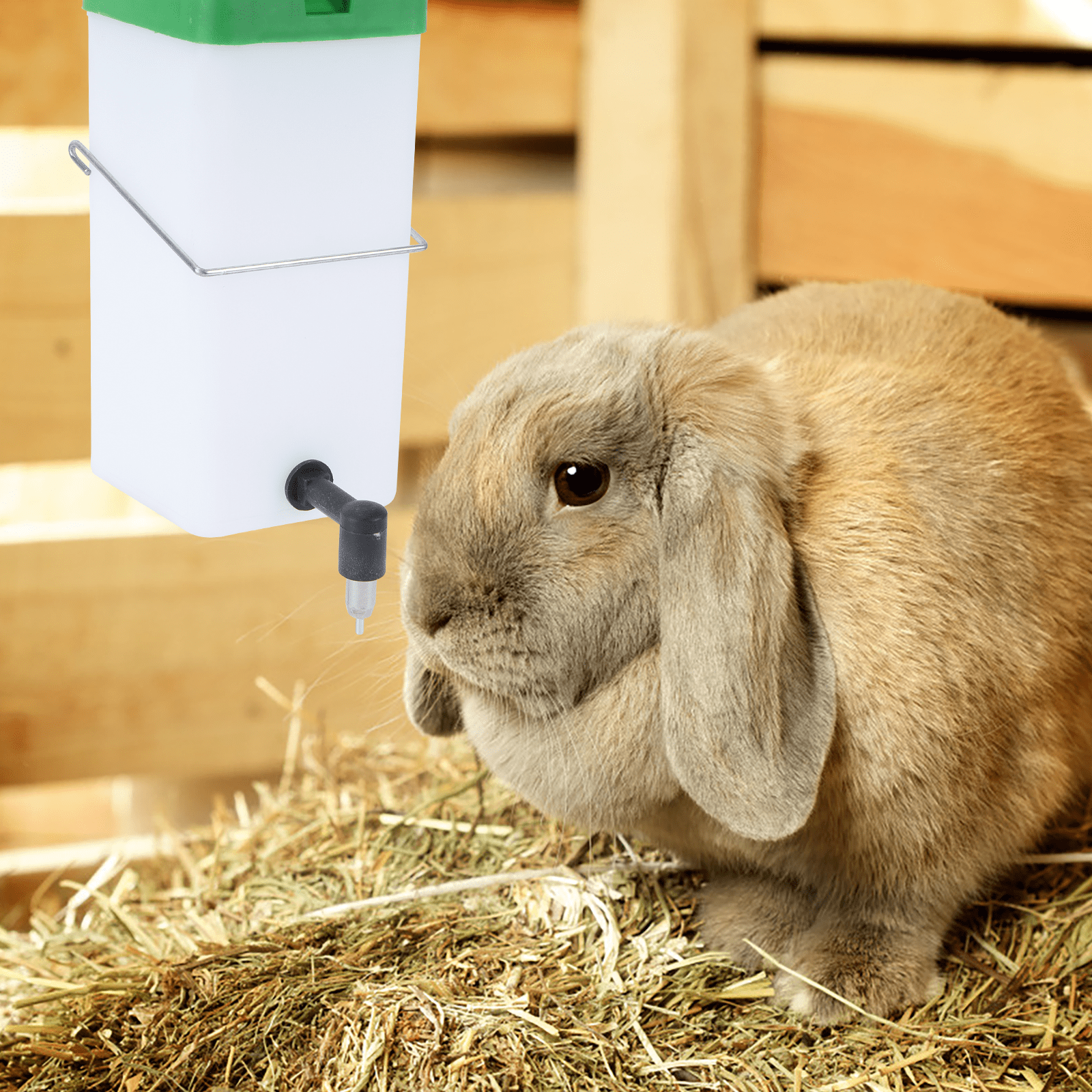 ETHZZLE 1Pc Automatic Water Fountain for Rabbits Green Pet Drinking ...