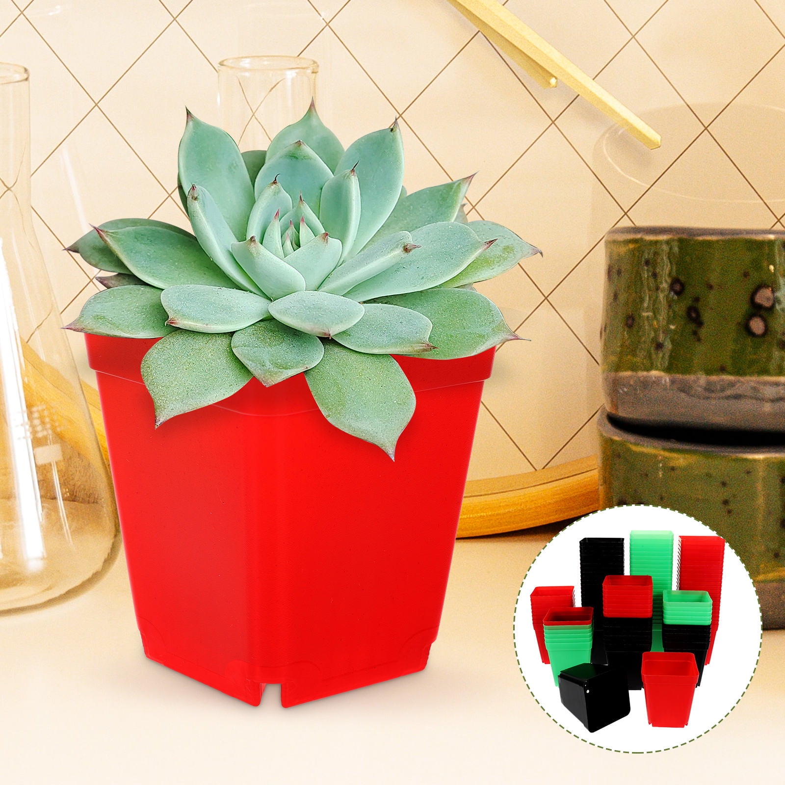 ETHZZLE 1Set Mini Cactus Pots Sanded Material Growing Plants Plastic ...