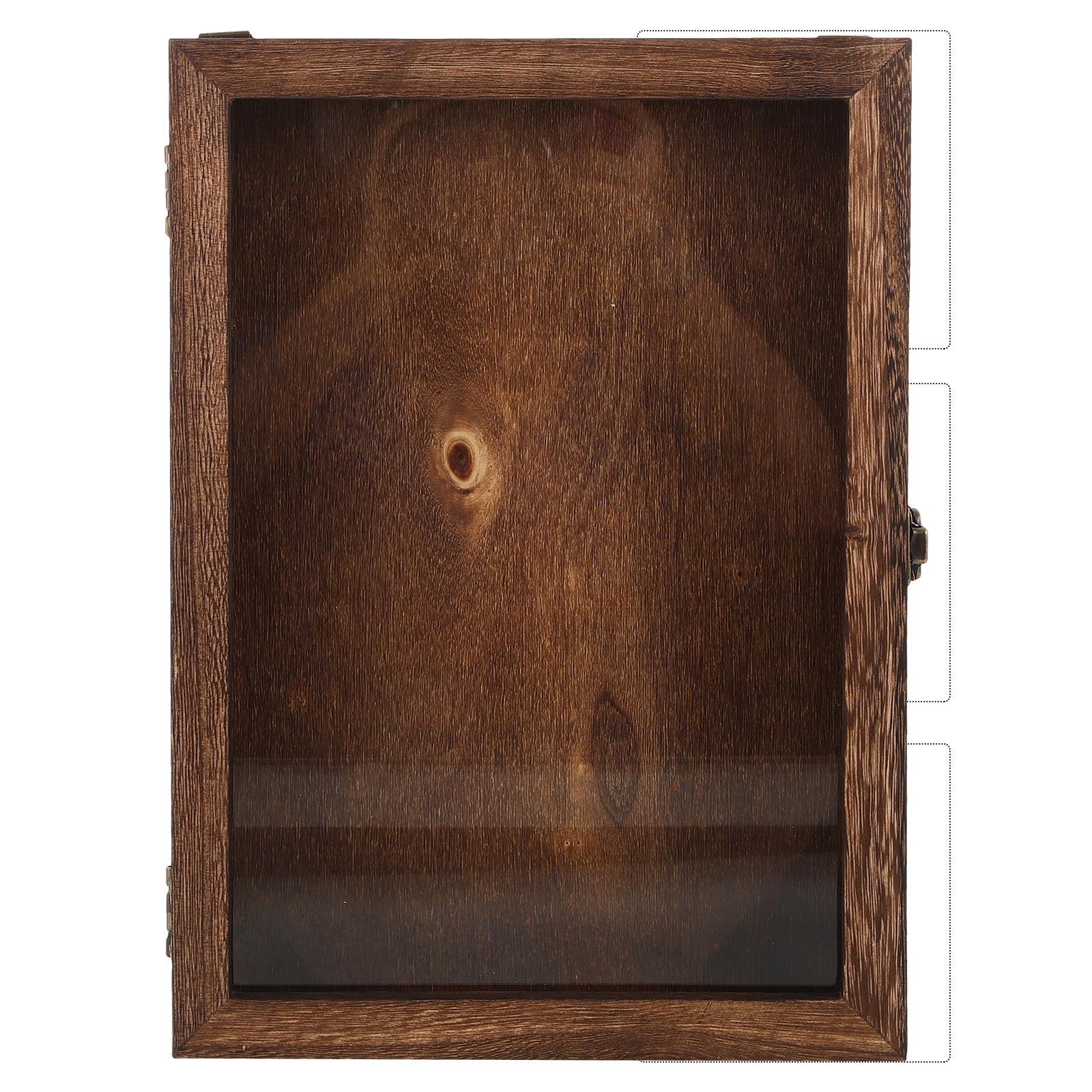 ETHZZLE 1Set Specimen Display Holder For Insect Specimens Wall Display ...