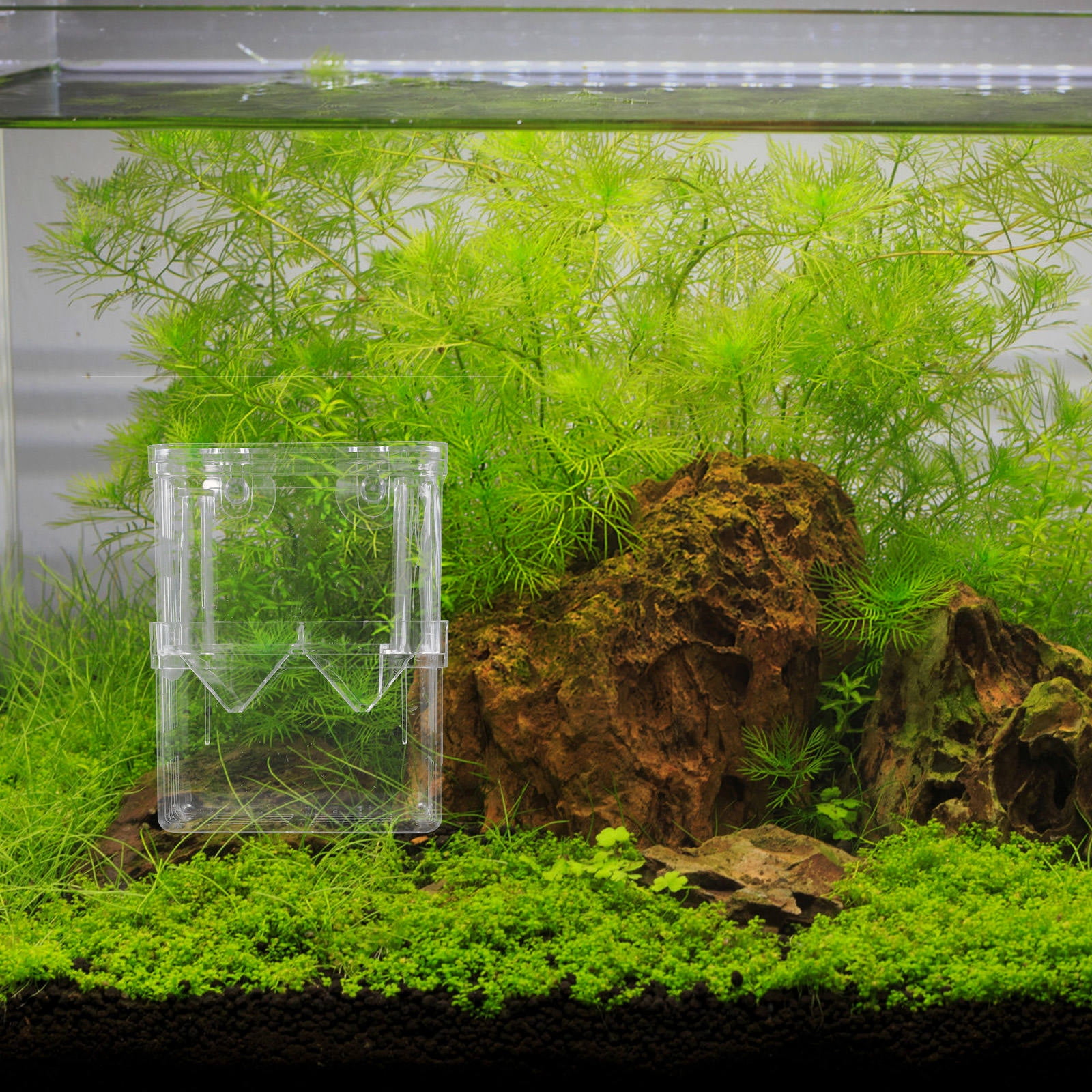 ETHZZLE 2Pcs Aquarium Isolation Box Transparent Fish Breeding Container ...
