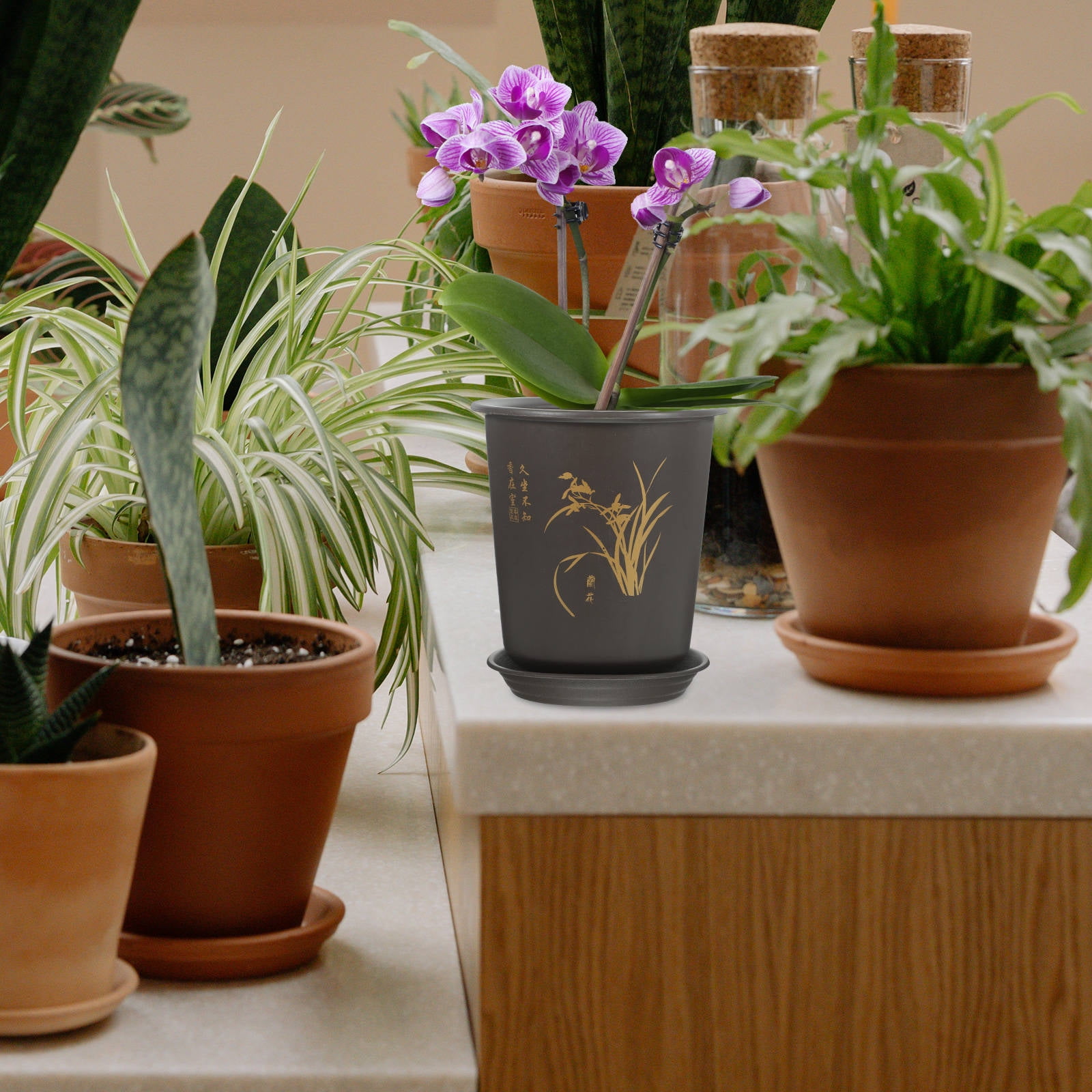 ETHZZLE 3 Sets of Modern Orchid Pots for Plants Inside Plastic Dark Red ...