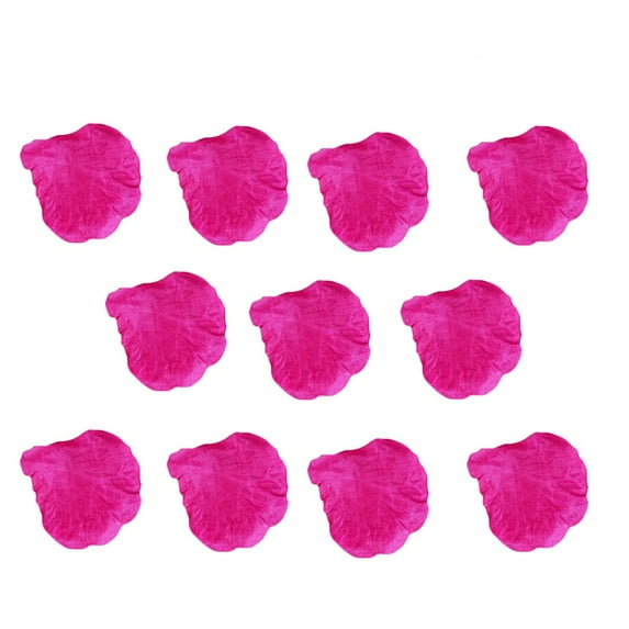 ETHZZLE 500Pcs Violet Artificial Rose Petals for Wedding Party ...
