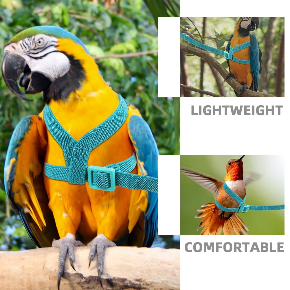 ETHZZLE Adjustable Blue Parrot Flying Harness with Wear Resistant Rope ...