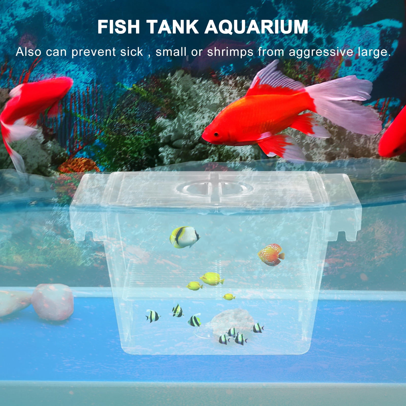 ETHZZLE Transparent Acrylic Betta Fish Tank with Divider for Incubation ...