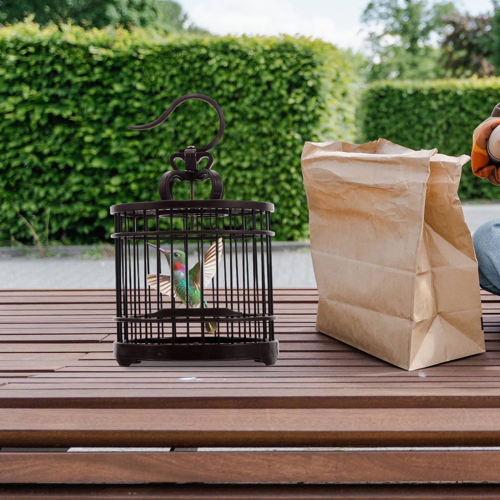 ETHZZLE Portable Coffee Plastic Cricket Habitat Container with Hanging ...