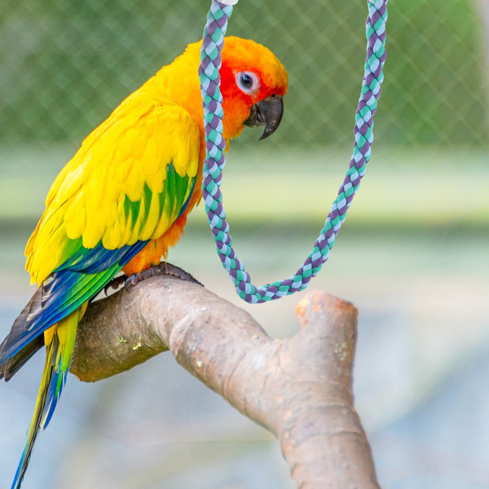 ETHZZLE Bird Rope Toy Assorted Color for Indoor Activity 1Pcs - Walmart.com