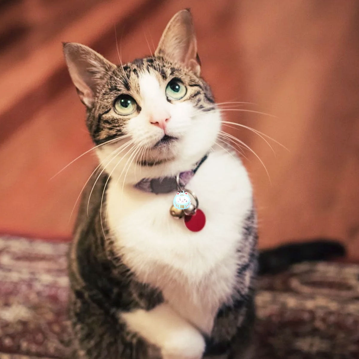 ETHZZLE Luck Cat Jewelry Fortune Bells Pendant Light 1Pcs - Walmart.com