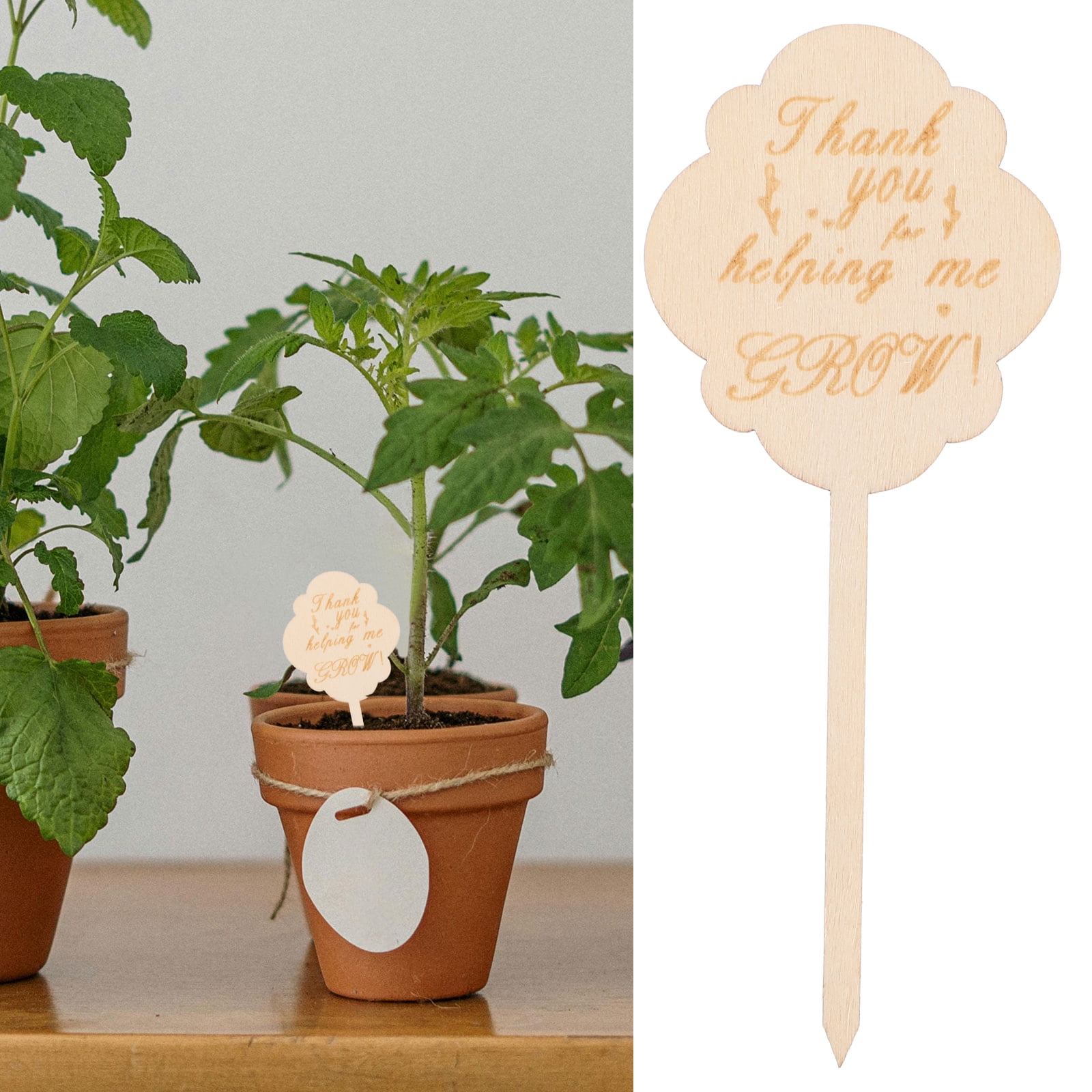 ETHZZLE Wooden Plant Tags 25pcs Bamboo Garden Markers Succulents Potted ...