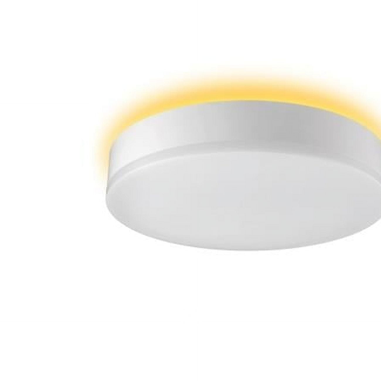 ETI Solid State Lighting 11 in. Color Preference Puff with Nightlight ...