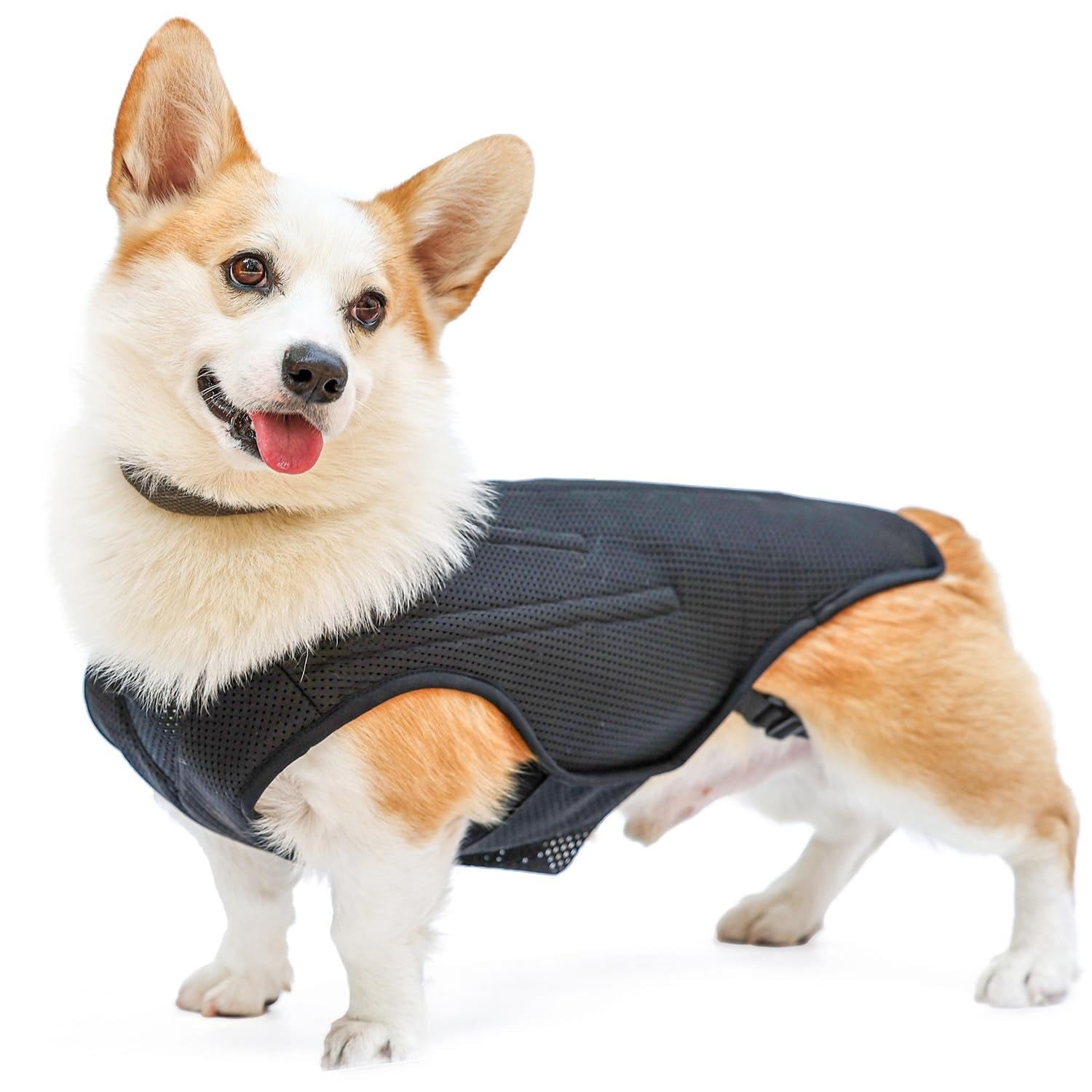 ETIAL IVDD Brace for Dogs, AD01 Pet Dachshund Supporting Vest, Canine ...