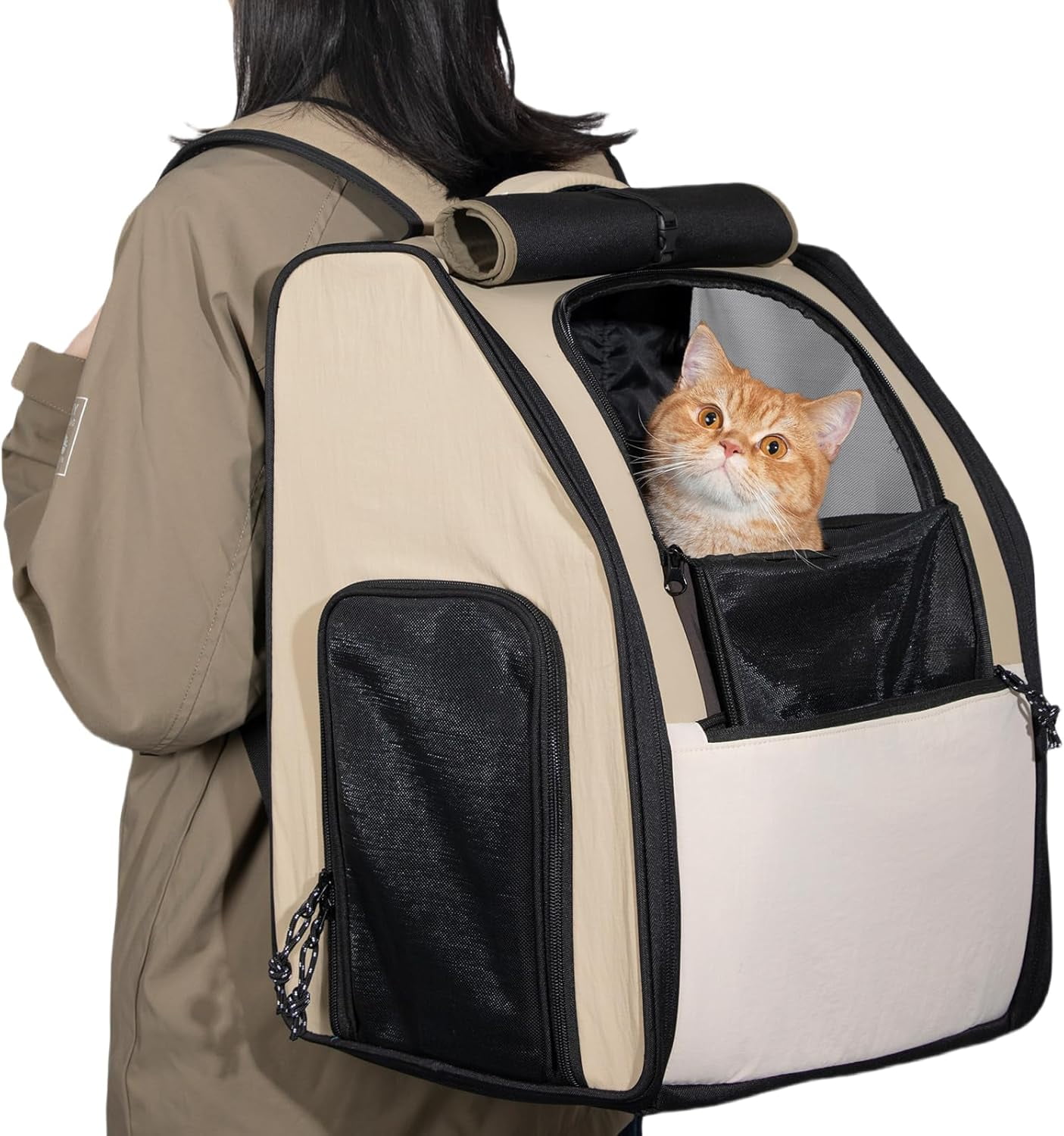 ETIAL Large Space Pet Backpack for Cats and Small Dogs – Adjustable ...