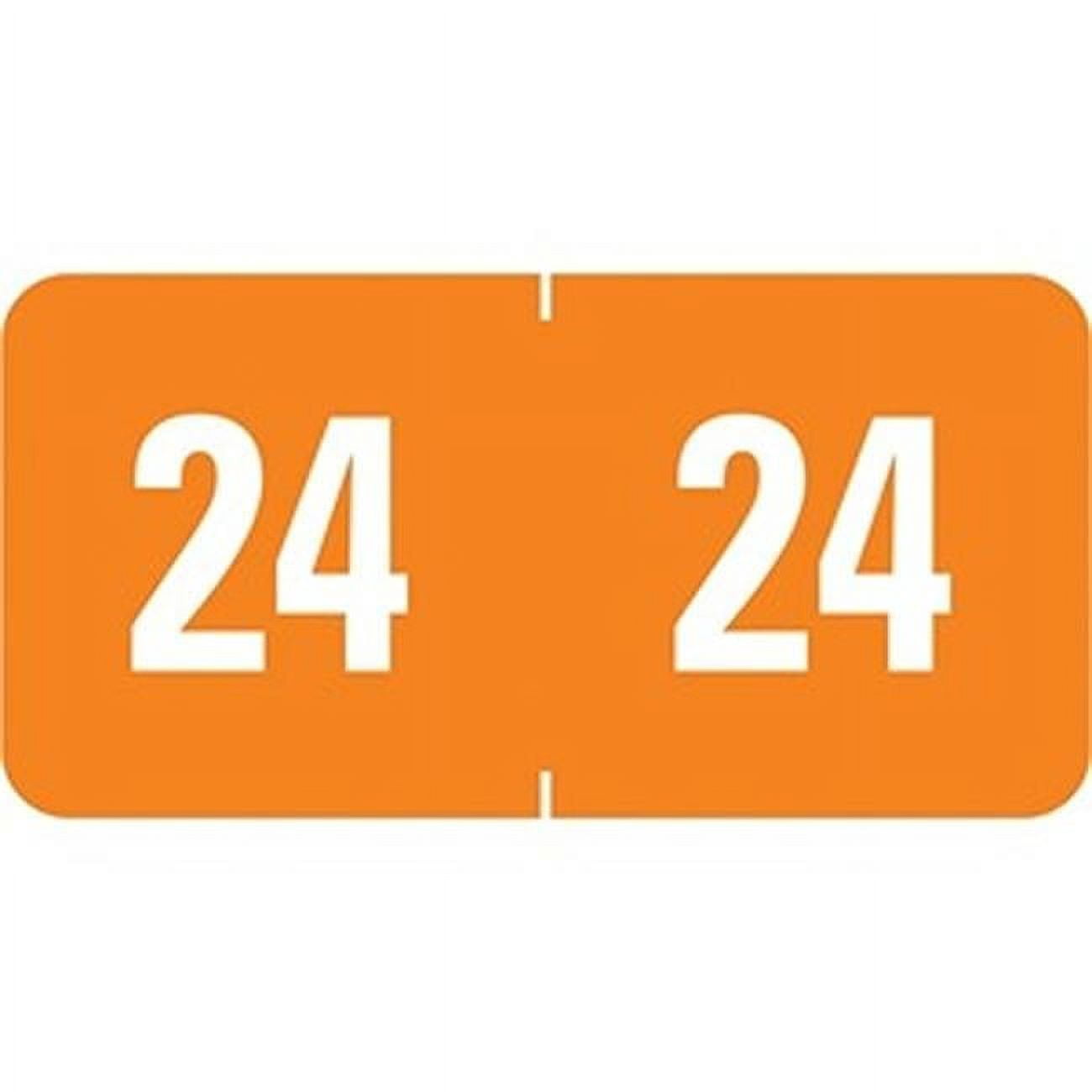 ETS Color-Coded Year Label, Orange - Walmart.com