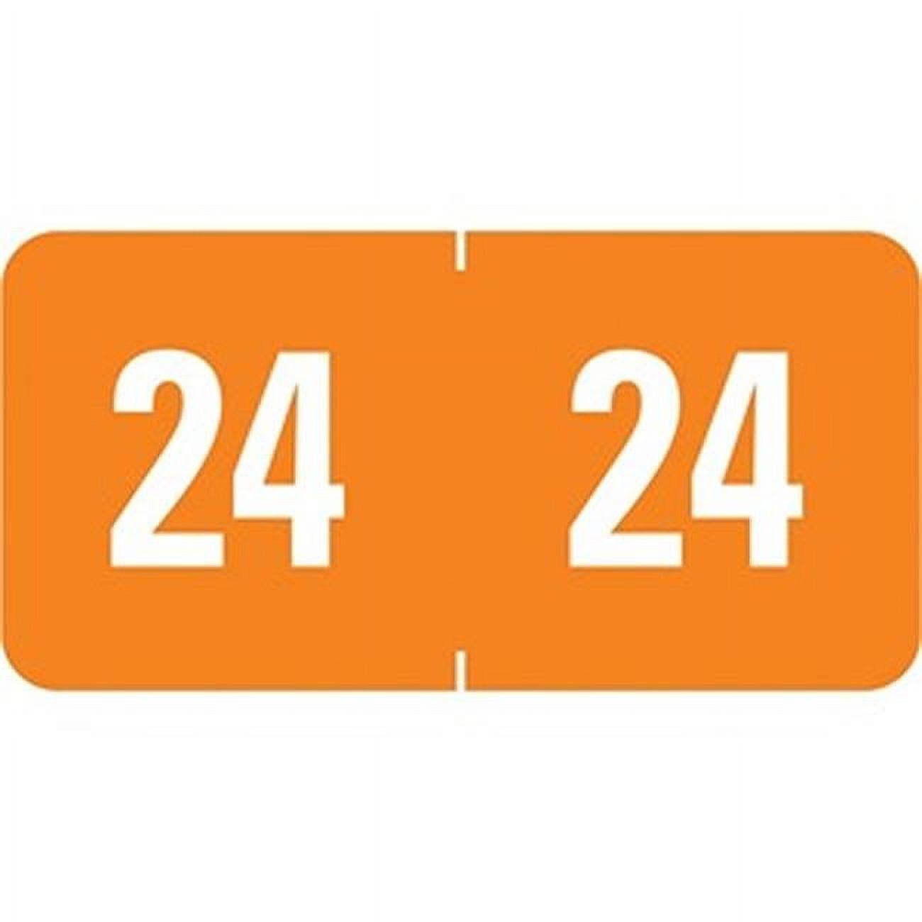 ETS Color-Coded Year Label, Orange - Walmart.com