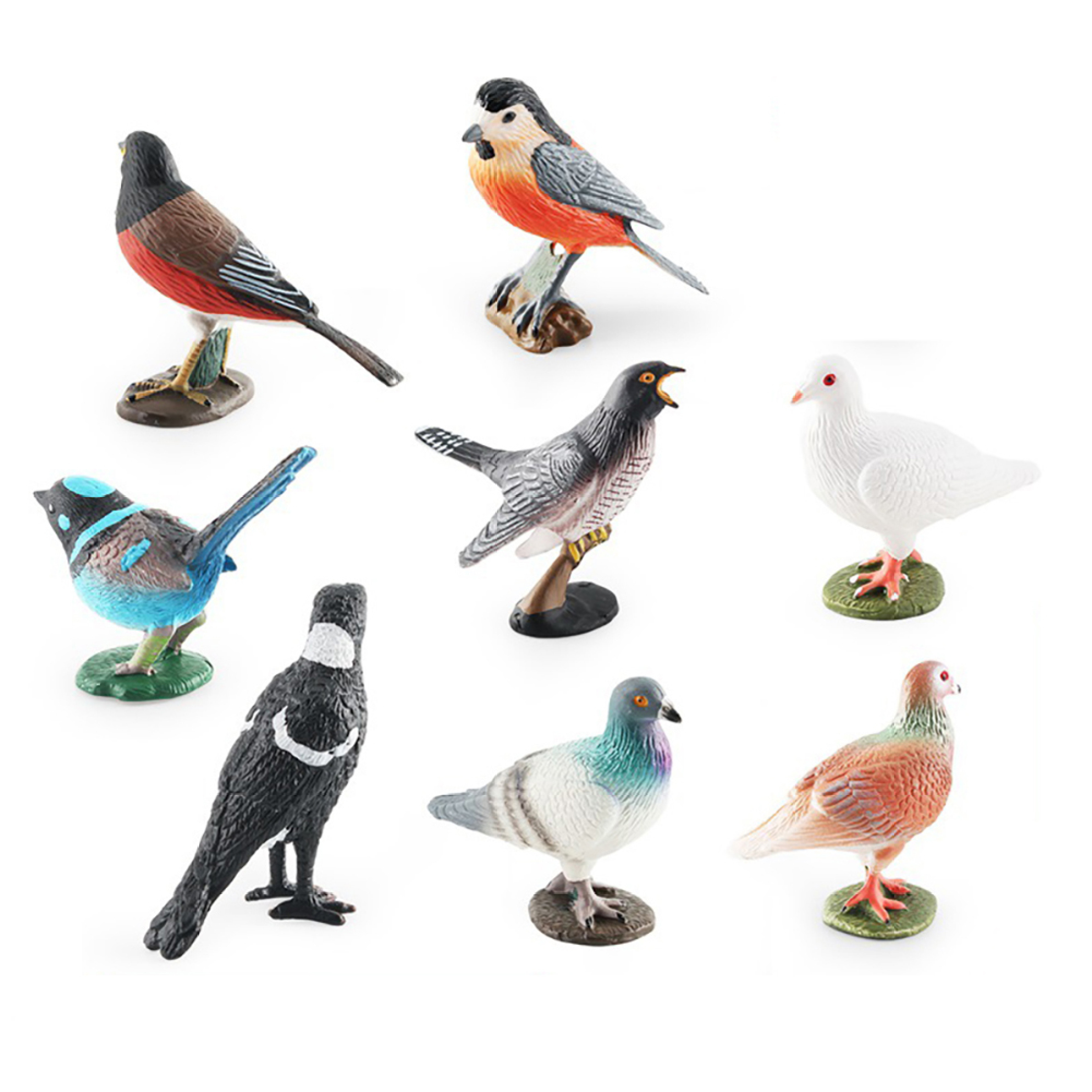 EUBUY 8pcs Simulated Bird Model Realistic Bird Model for Collection ...
