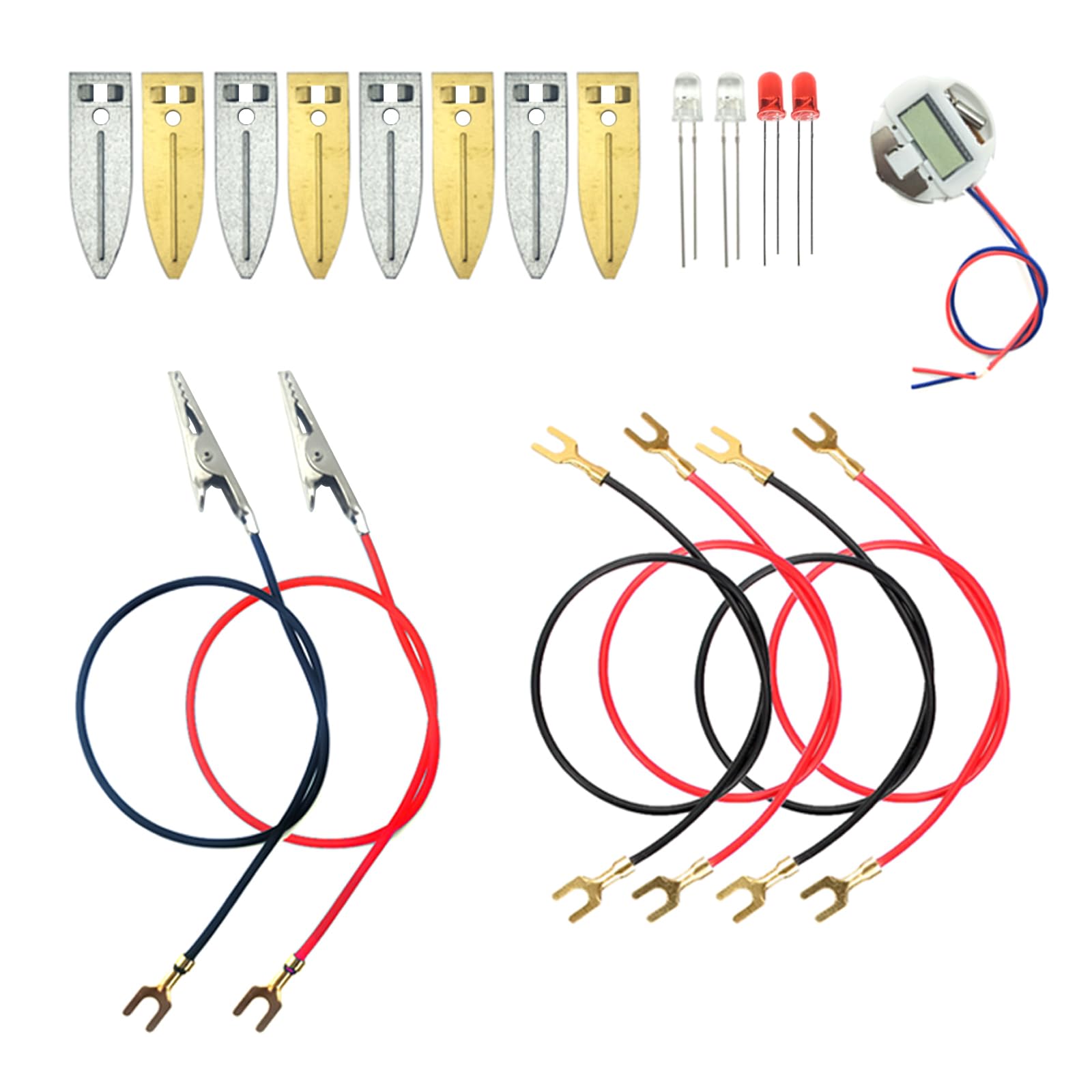 EUDAX Fruit Battery Science DHF10 Experiment Kit with Electronic Clock ...