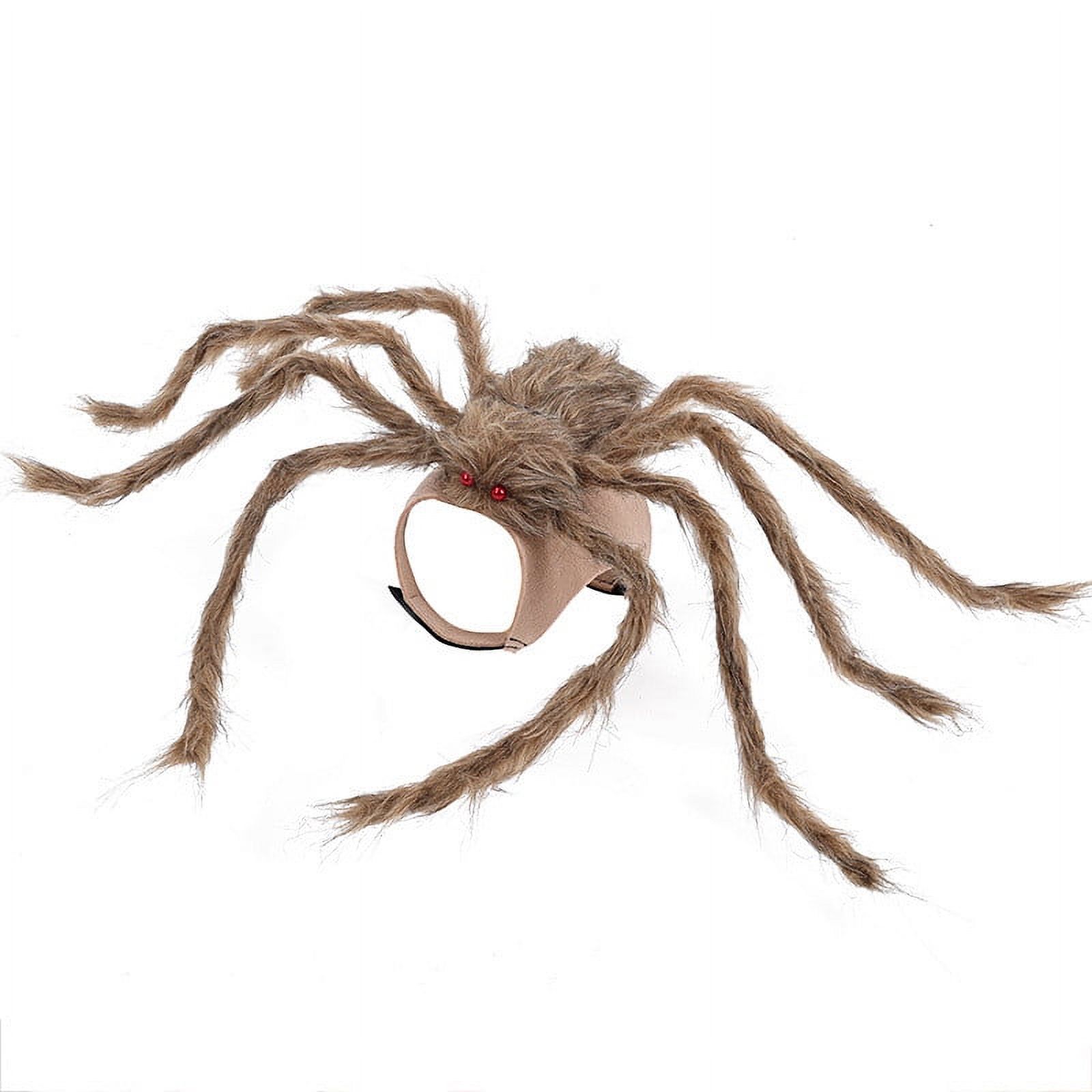 EUDIDV Creepy Props Halloween Pet Clothes Big Spider Transformation ...