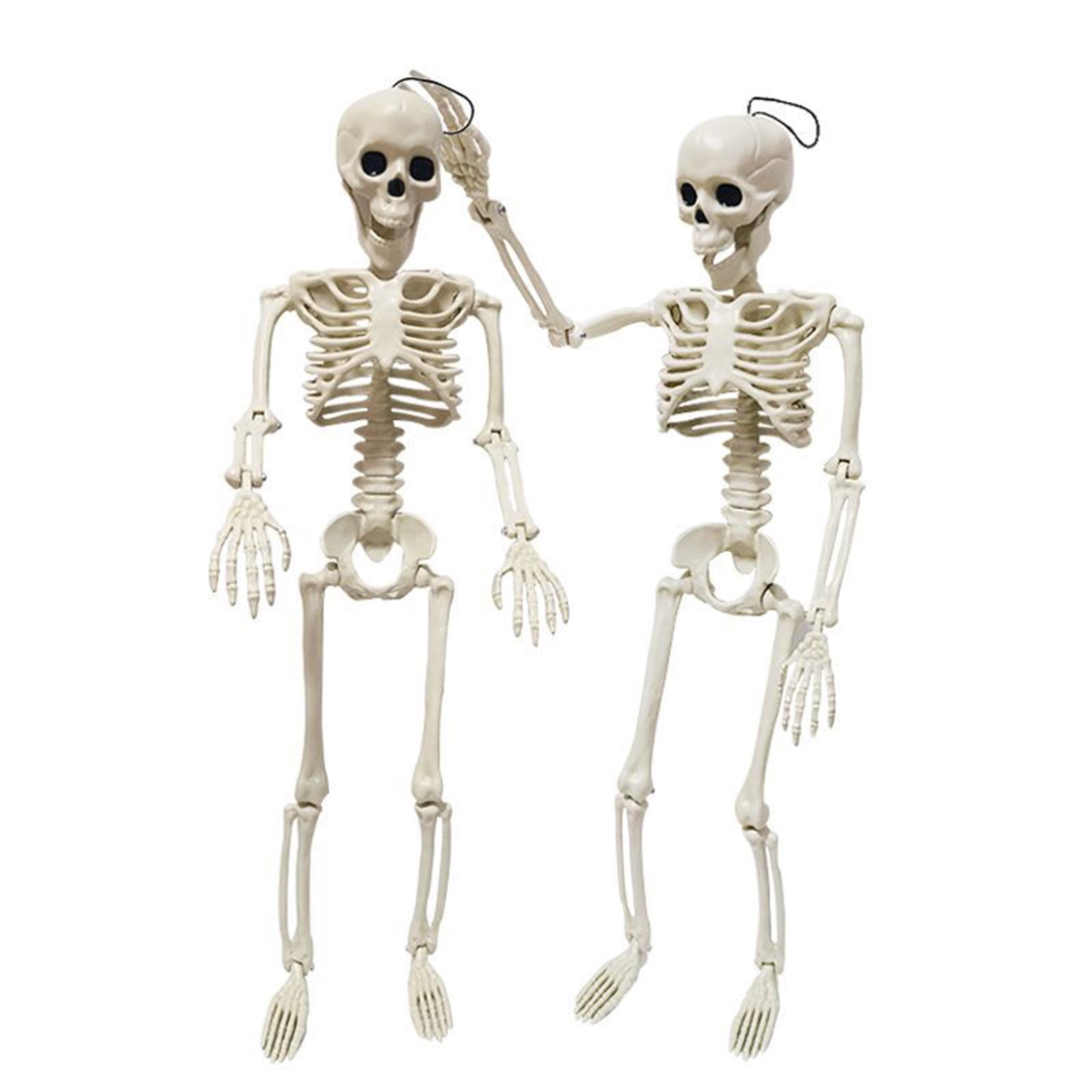 EUDIDV Spooky Props 2pcs Halloween Skeleton Decoration, 15” Whole Body ...