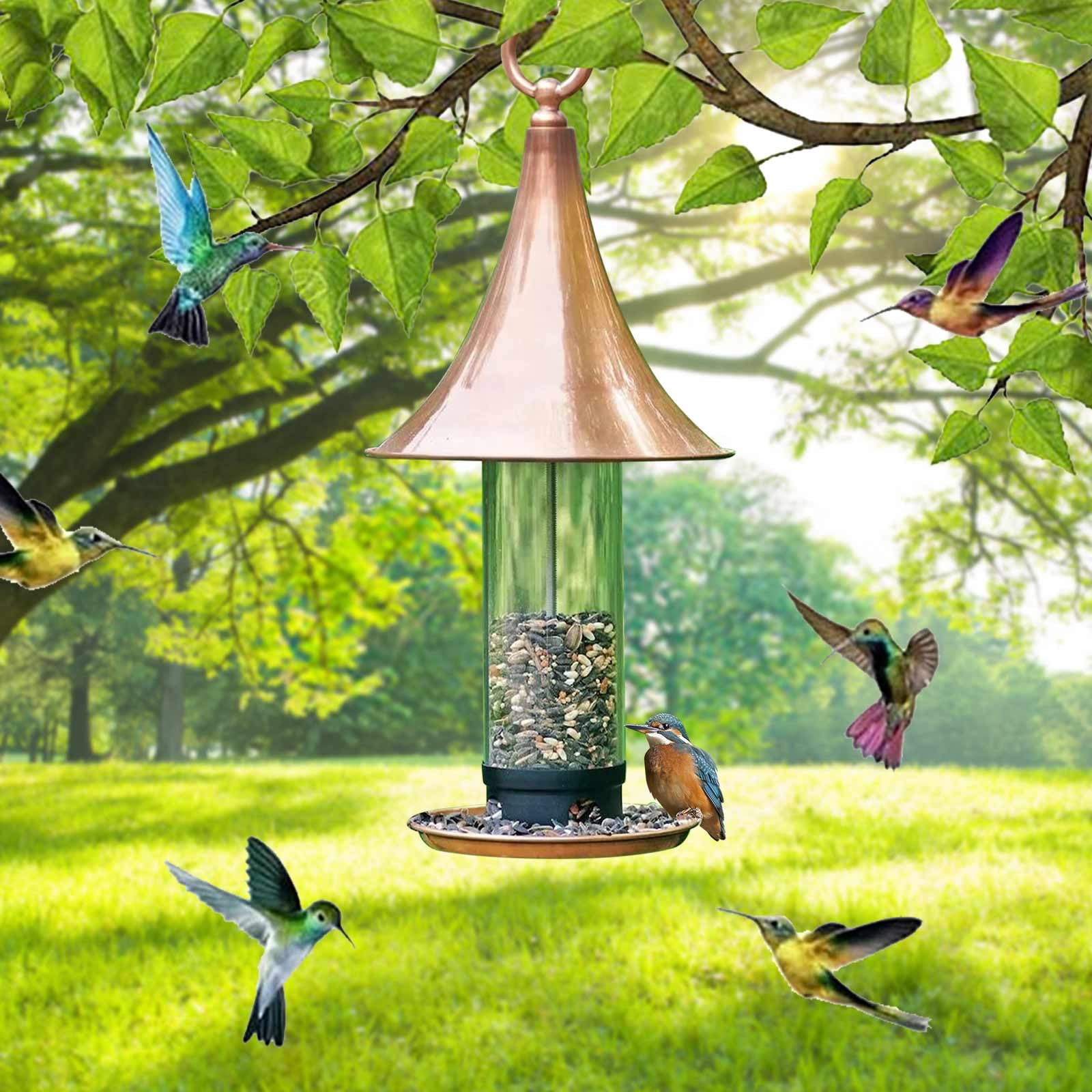 EUDIDV Suet Bird Feeder Outdoor Garden 2-in-1 Bird Feeder Automatic ...