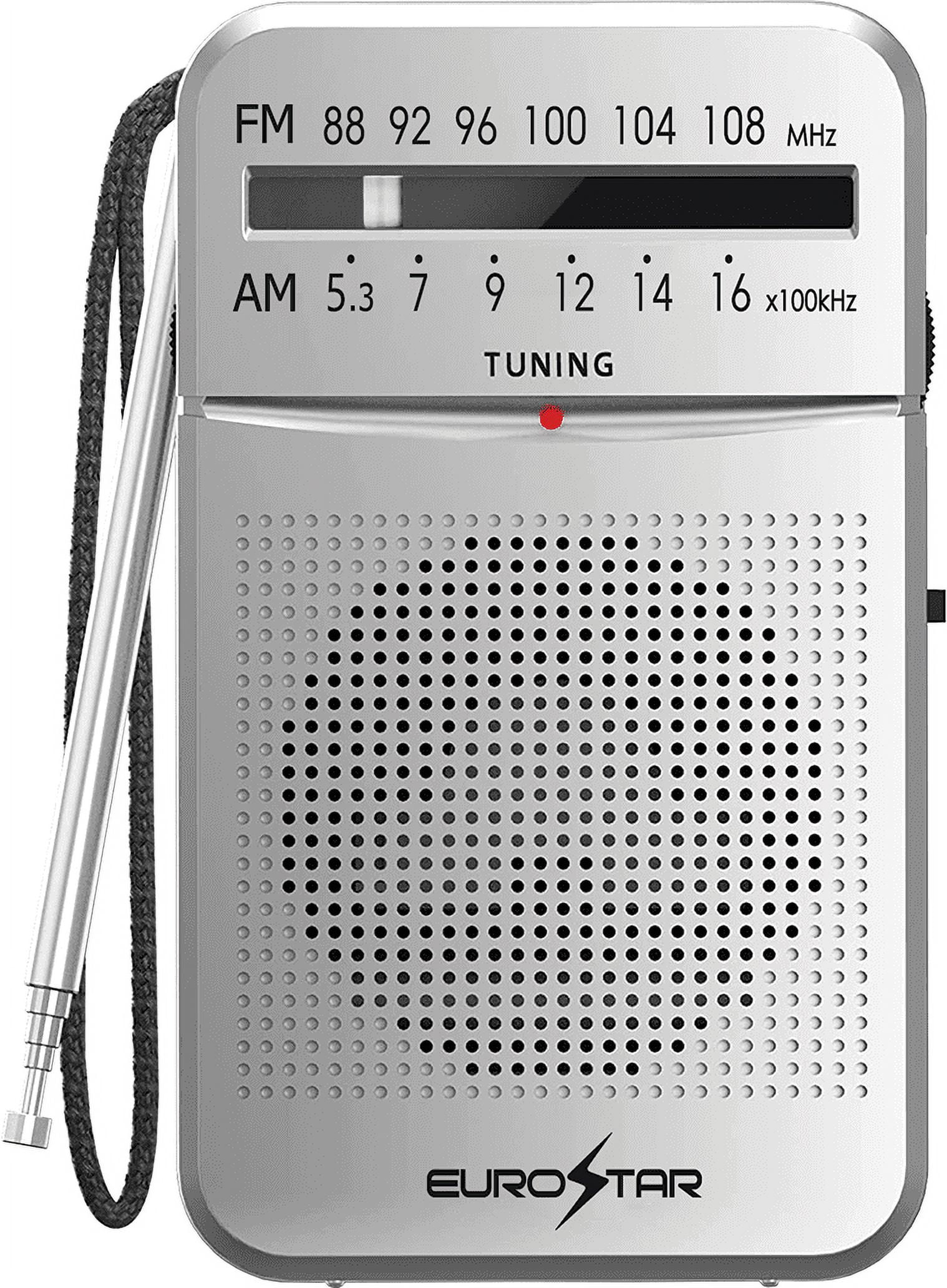 EUROSTAR ICFS220S Portable AM/FM Radio, Silver - Walmart.com