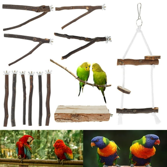 Bird Perches, Natural Wood Birds Stand Branch, Bird Perch Chewing Stick ...
