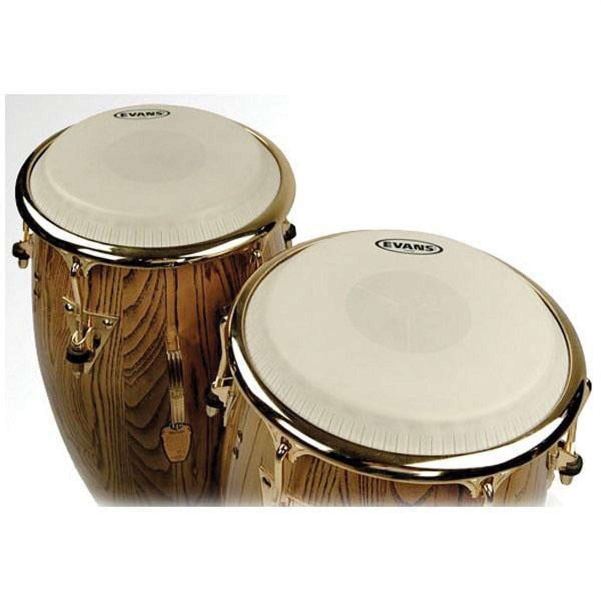 EVANS Tri-Center Conga Drum Head, 9.75 inch, Drum Replacement Part ...