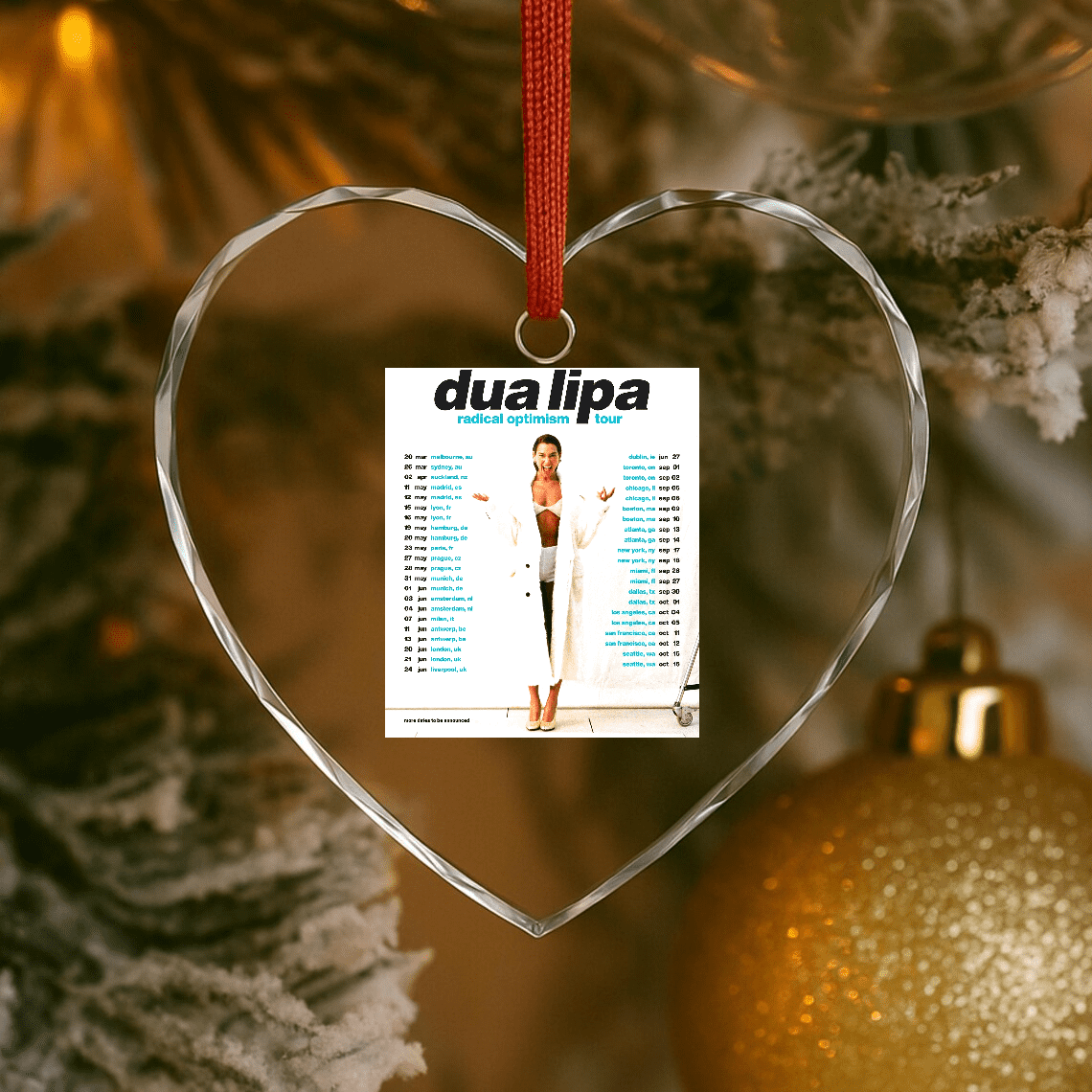 EVERA Radical Optimism Music Tour Date Fan Ornament 2025 Birthday ...