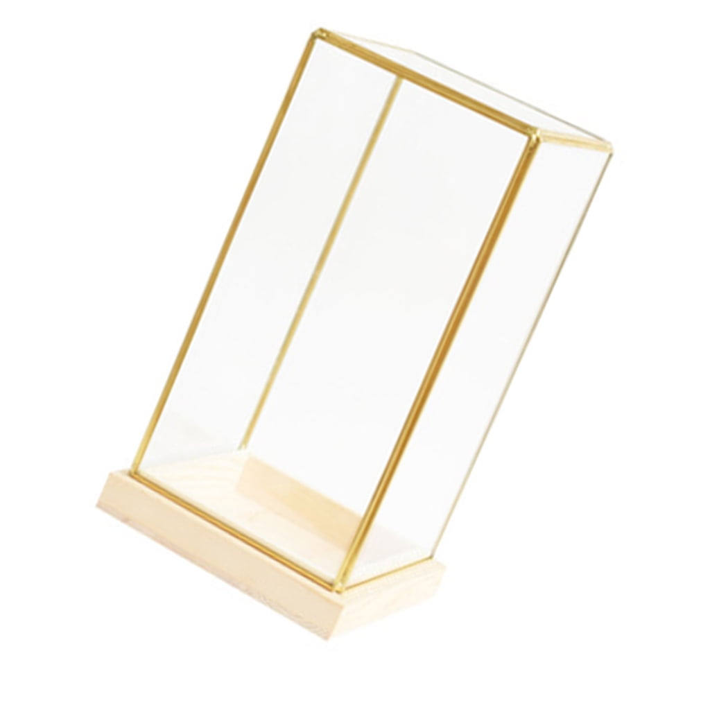 EXCIXING Small Glass Display Display Case for Collectibles for Homes ...
