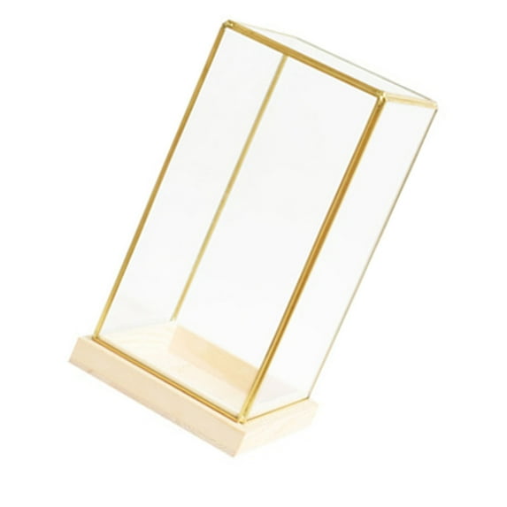 EXCIXING Small Glass Display Display Case for Collectibles for Homes ...