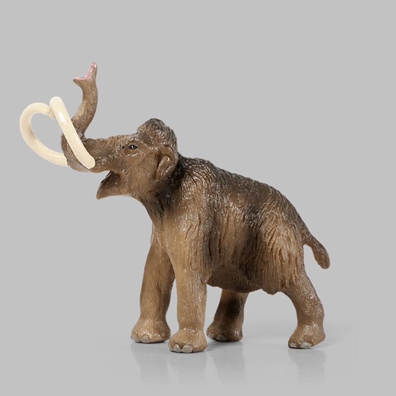 EXHUMKY 2Pcs Simulated Animal Models Model For Educators Home Decor ...