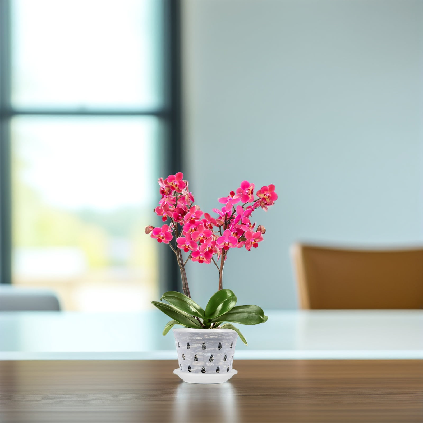 EXHUMKY Clear Orchid Pots for Garden with Multiple Drainage Holes ...