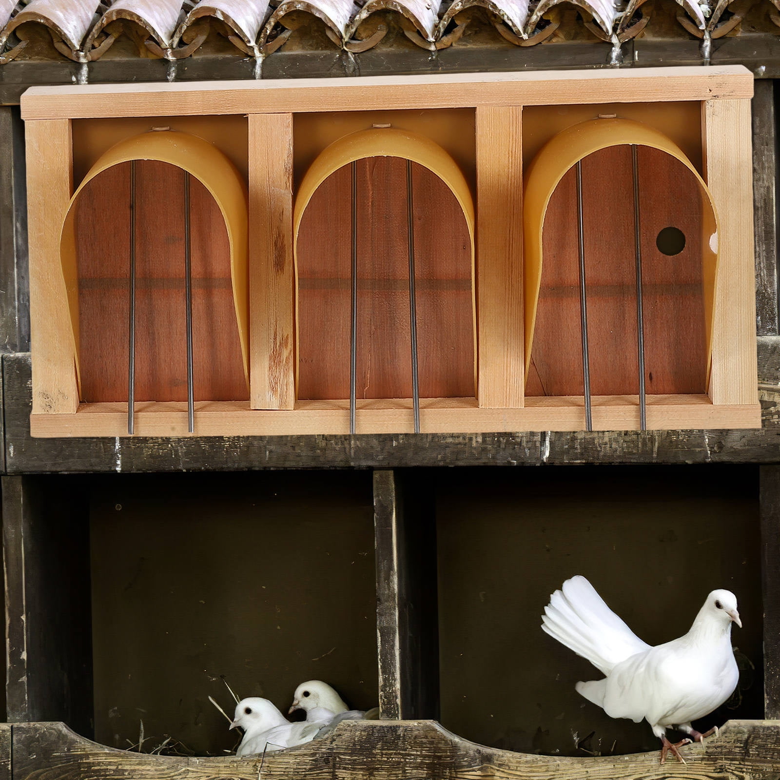 EXHUMKY Pigeon Nesting Door Wooden ABS European Style for Pigeons ...