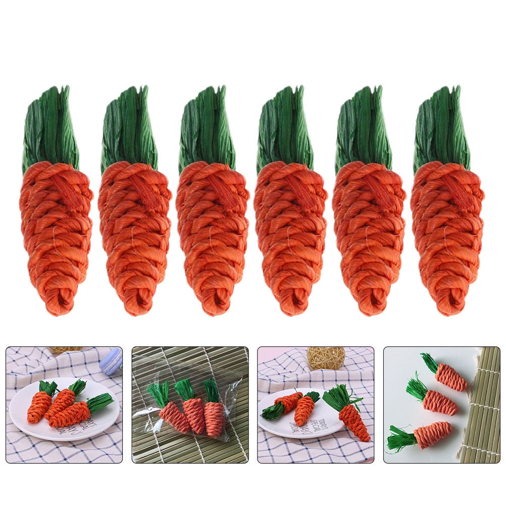 EXHUMKY Chinchilla Chew Toy Cotton Rope Orange Chinchillas Daily Life 6 ...