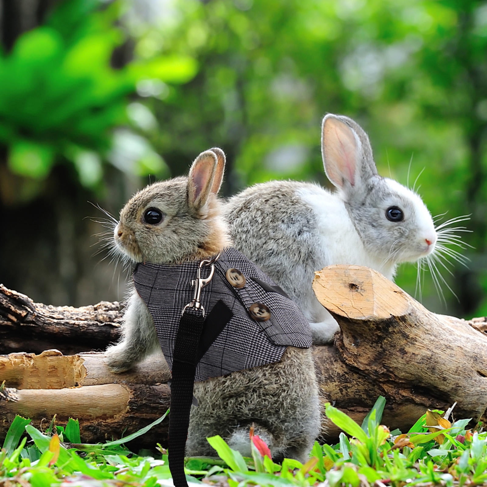 EXHUMKY Bunny Outfit for Rabbits Outdoor Activity Cloth 1 Set - Walmart.com