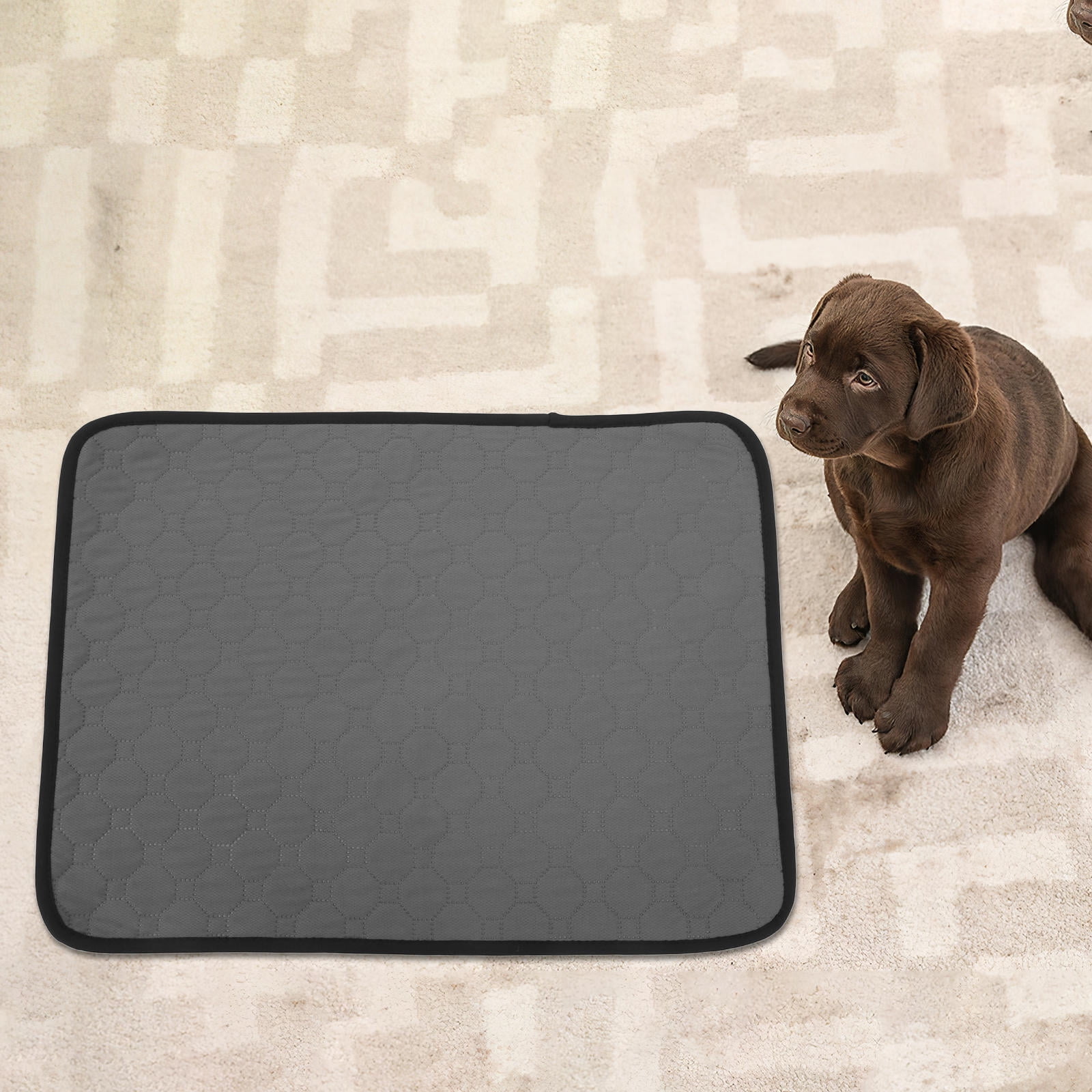 EXHUMKY Reusable Pet Training Mat Grey Fabric for Dogs 1Pcs - Walmart.com