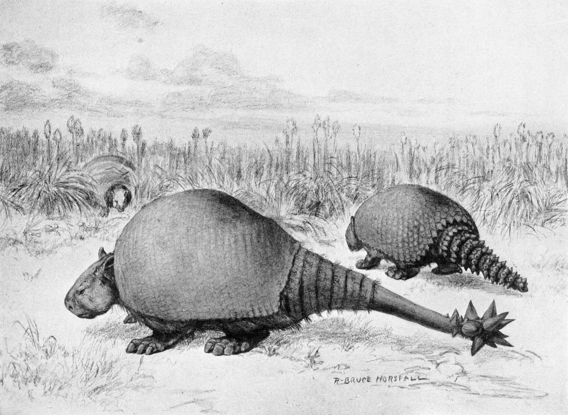 Extinct Doedicurus And Glyptodon Glossy Poster Picture Photo Print ...