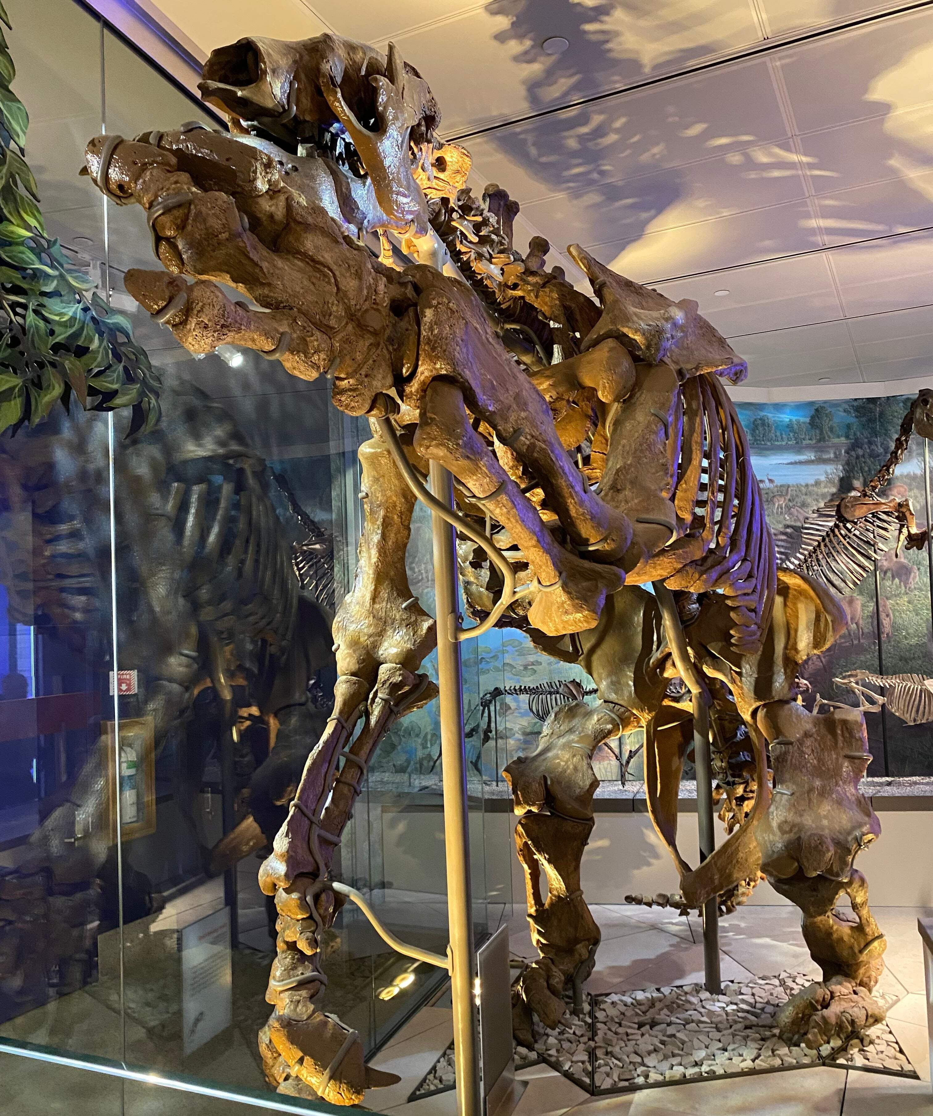 Extinct Eremotherium Ground Sloth Glossy Poster Picture Photo Print ...